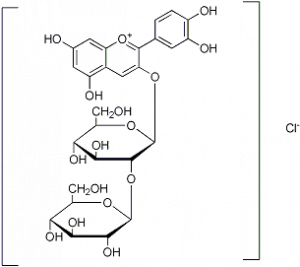 Cyanidin 3-Sophoroside Chloride – TOKIWA PHYTOCHEMICAL CO.,LTD.