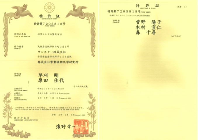 Method For Producing Persimmon Leaf Extract – TOKIWA PHYTOCHEMICAL CO.,LTD.